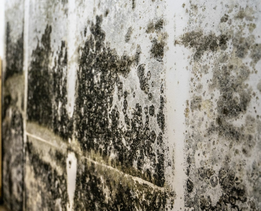 Pricing - Alpha Home Inspection